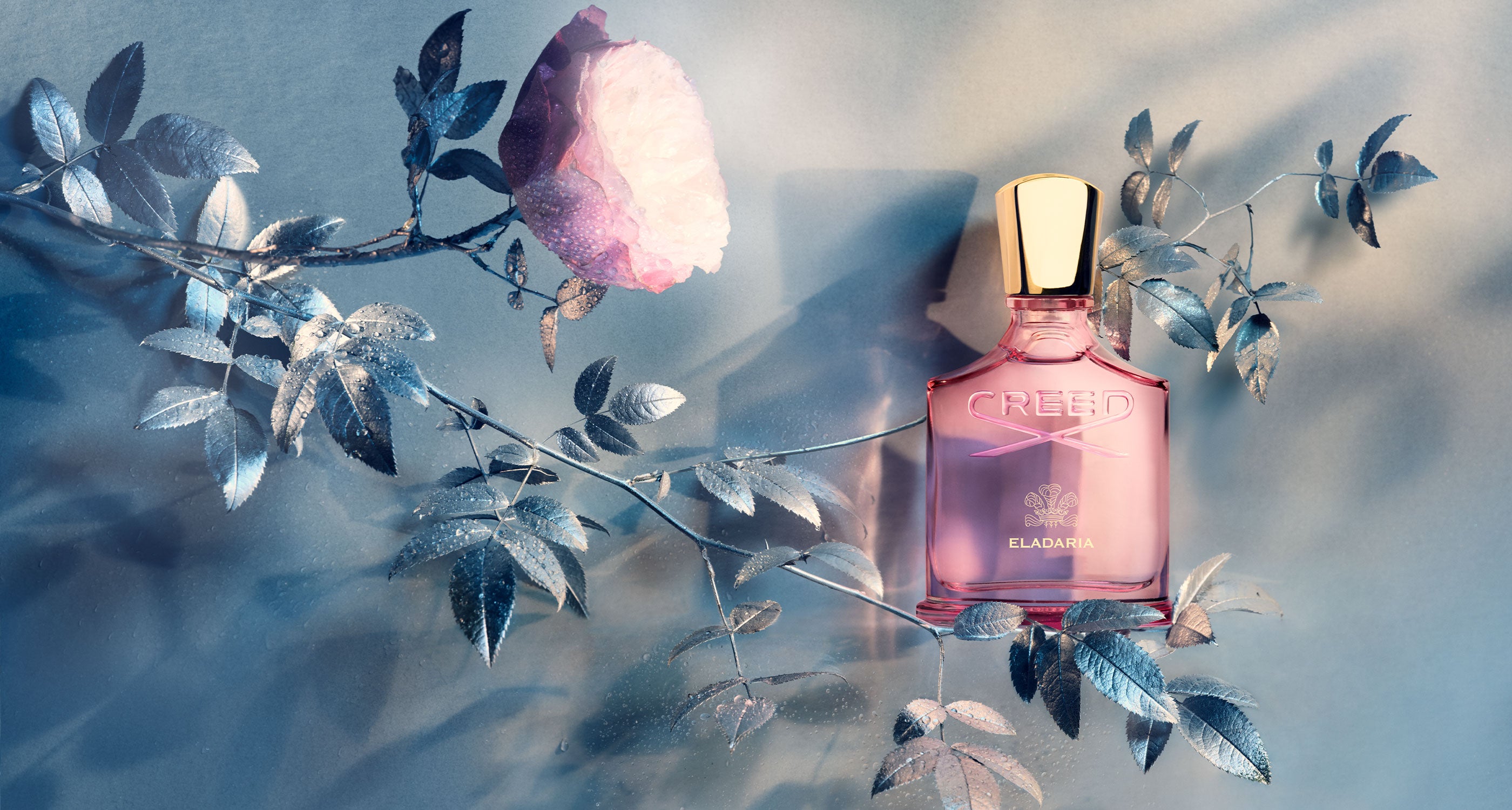 Official Creed Fragrance UK | Luxury Perfume For Men & Women