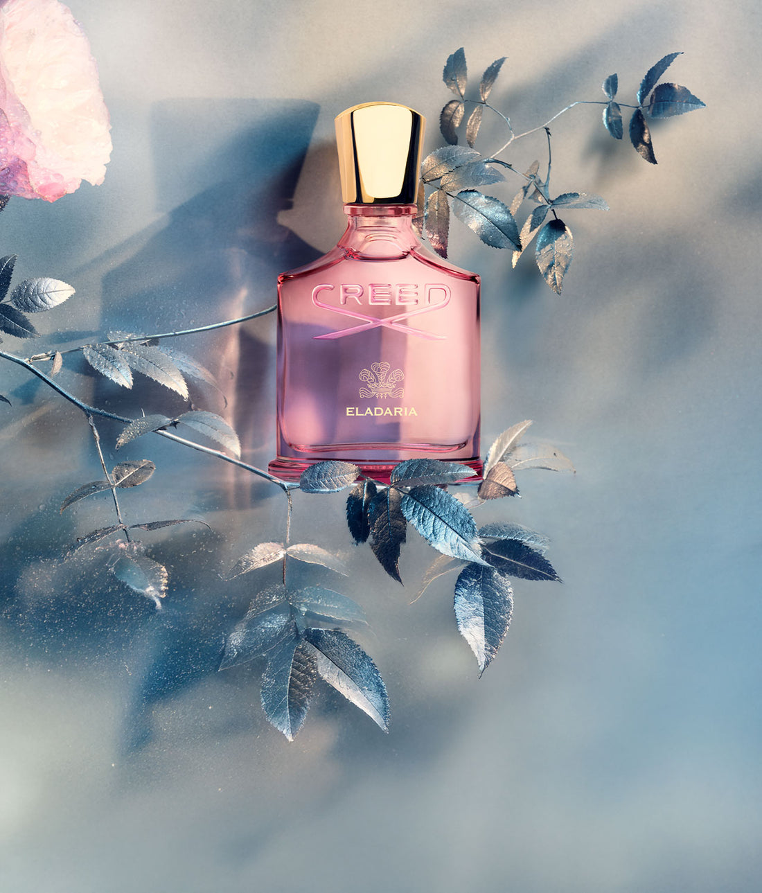 Official Creed Fragrance UK | Luxury Perfume For Men & Women